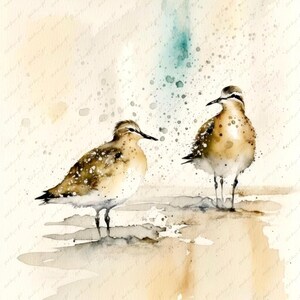 Golden Plovers on the Beach Poster Print - Etsy