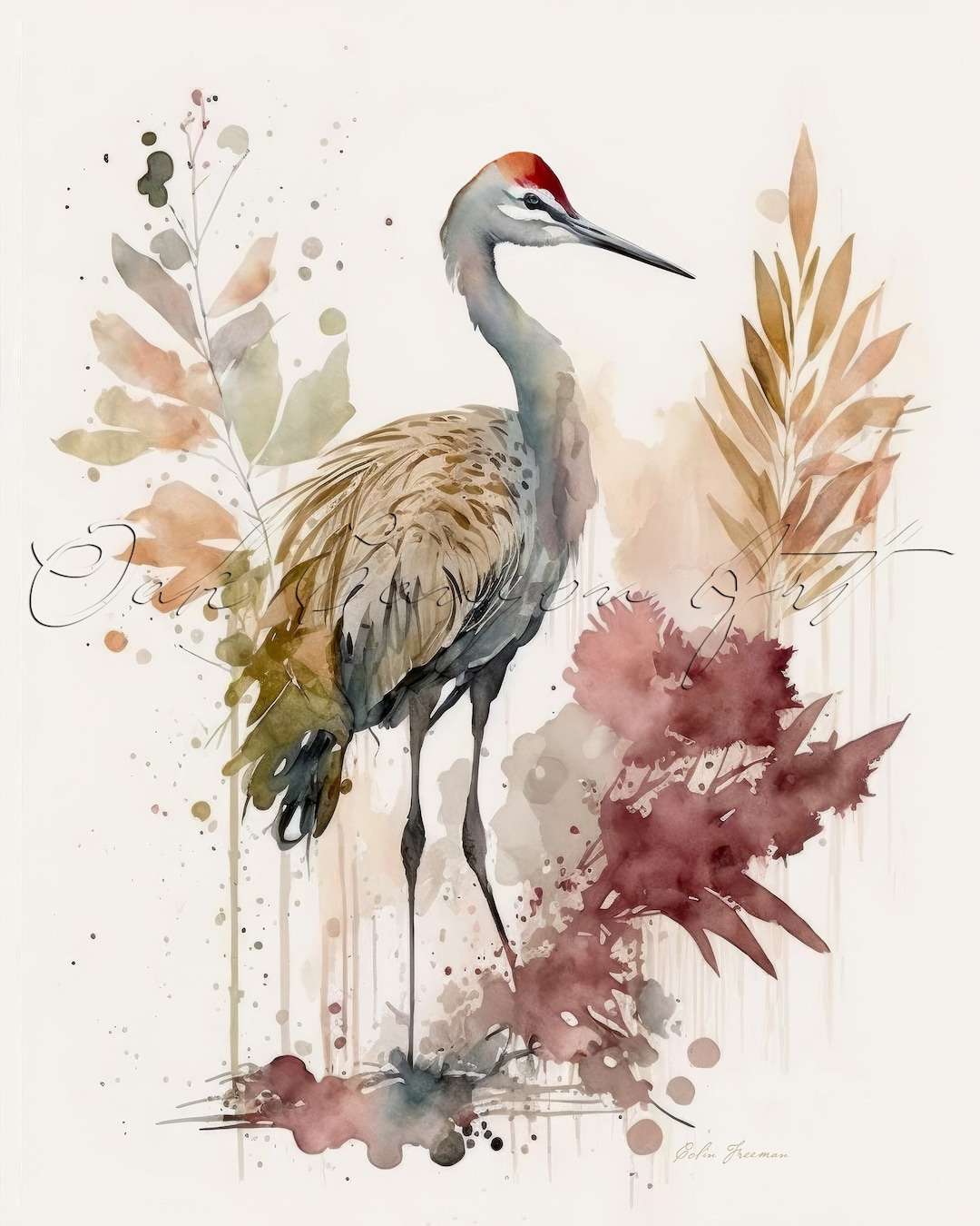 Sandhill Crane Printable Wall Art for Living Room Bird Watercolor ...