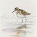 Sandpiper Bird Printable Wall Art for Living Room Bird Watercolor ...