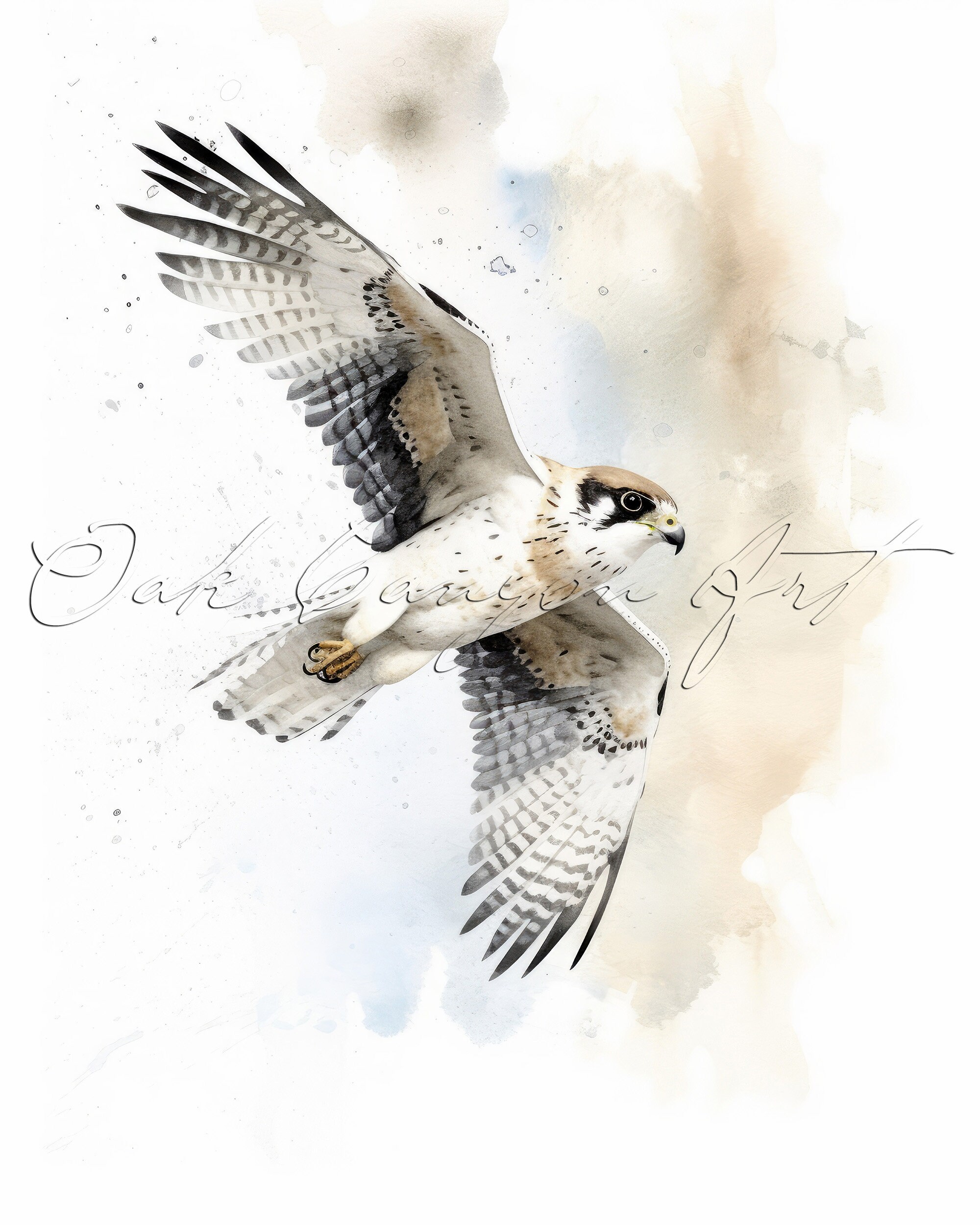 Prairie Falcon, 5 Jpegs, Bird Printable, Watercolor Wall Art Print ...