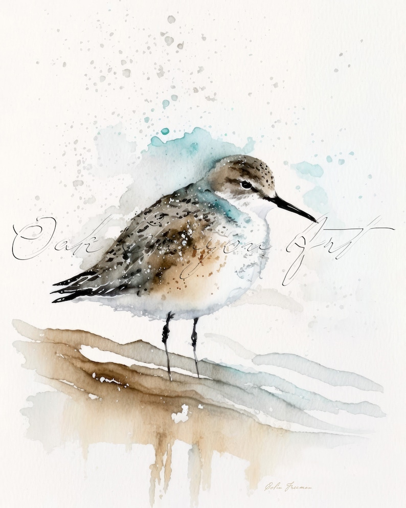 Sandpiper Bird Printable Wall Art for Living Room Bird Watercolor ...