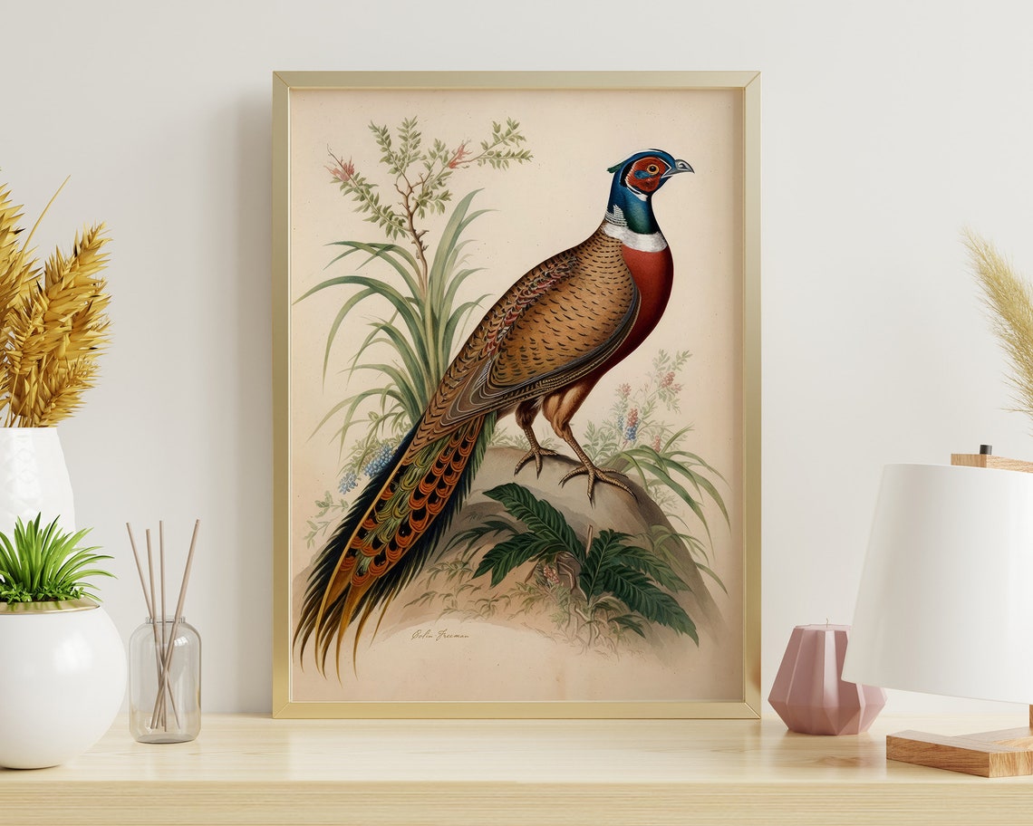 Pheasant Vintage Printable Wall Art for Living Room Bird Watercolor ...