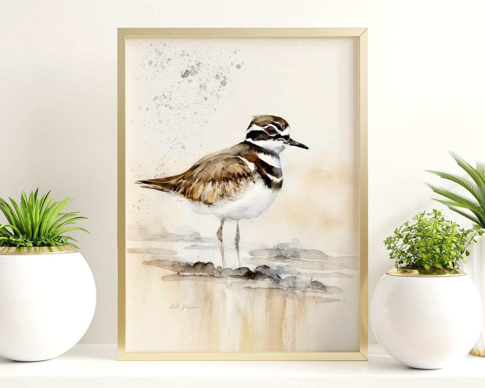 Killdeer Bird Printable Wall Art for Living Room Bird Watercolor ...