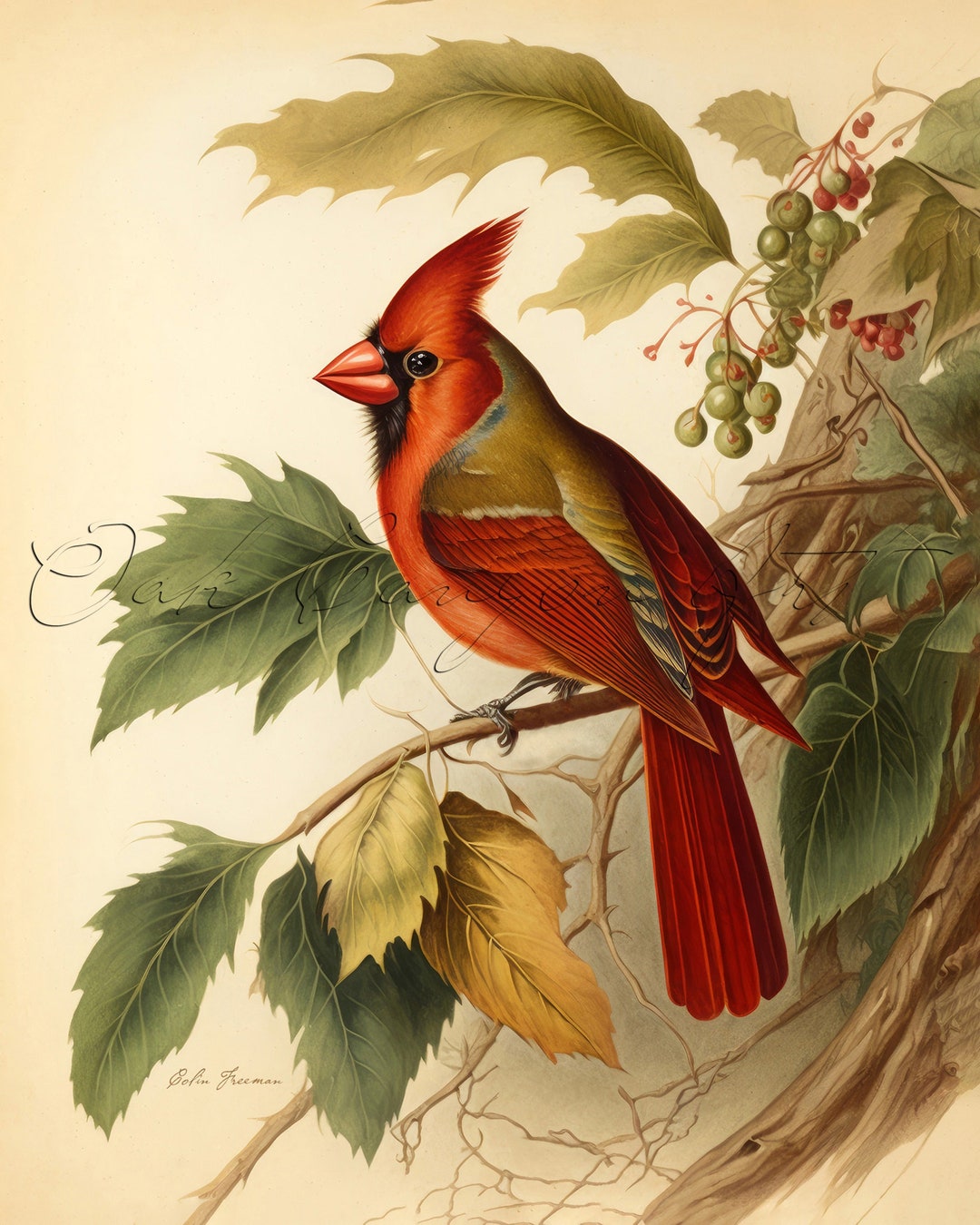 Cardinal Bird Printable Wall Art for Living Room Bird Watercolor ...