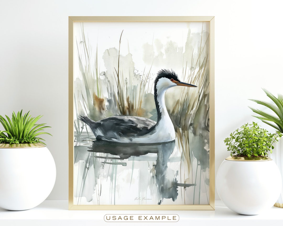 Western Grebe Bird Wall Art for Living Room Bird Watercolor Painting ...