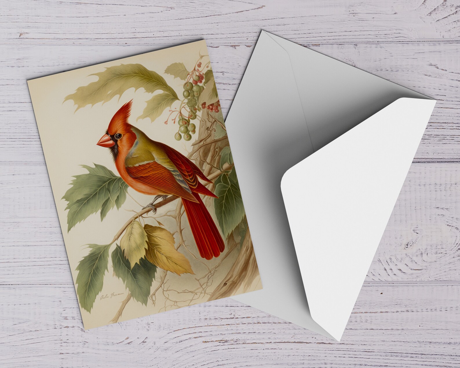 Cardinal Bird Printable Wall Art for Living Room Bird Watercolor ...