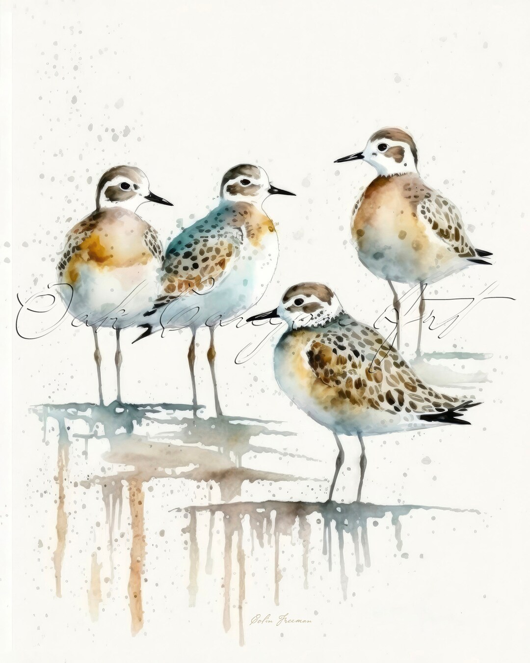 Golden Plover Bird Printable Wall Art for Living Room Bird Watercolor ...