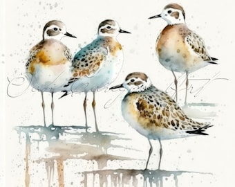 Sandpiper Bird Printable Wall Art for Living Room Bird Watercolor ...