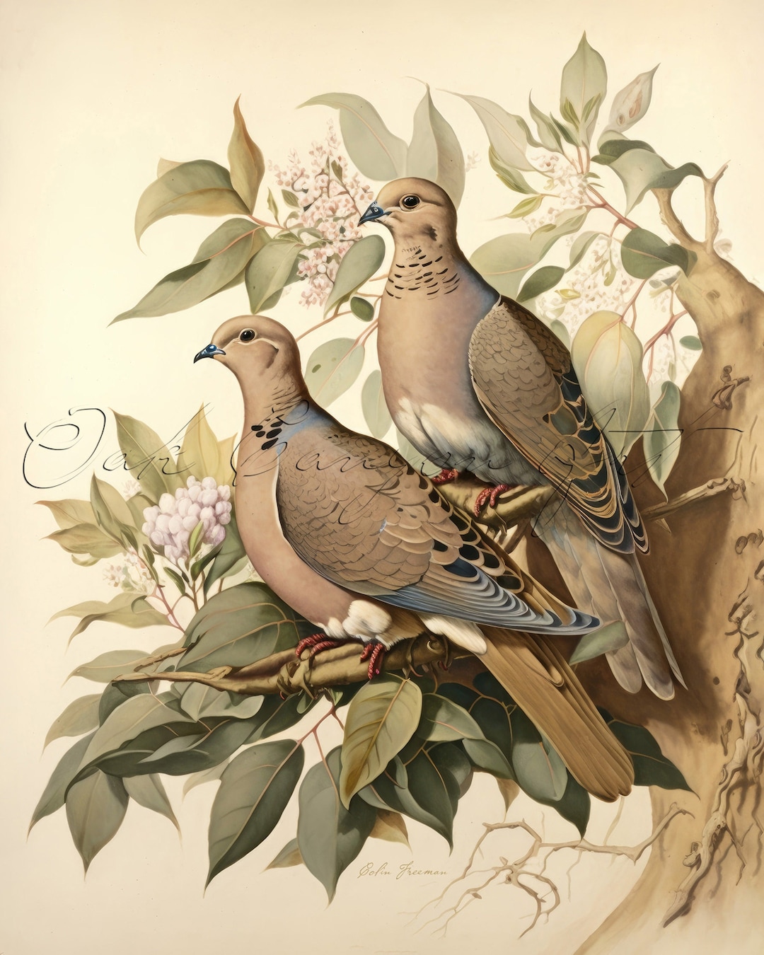 Mourning Doves Vintage Printable Wall Art for Living Room Bird Painting ...
