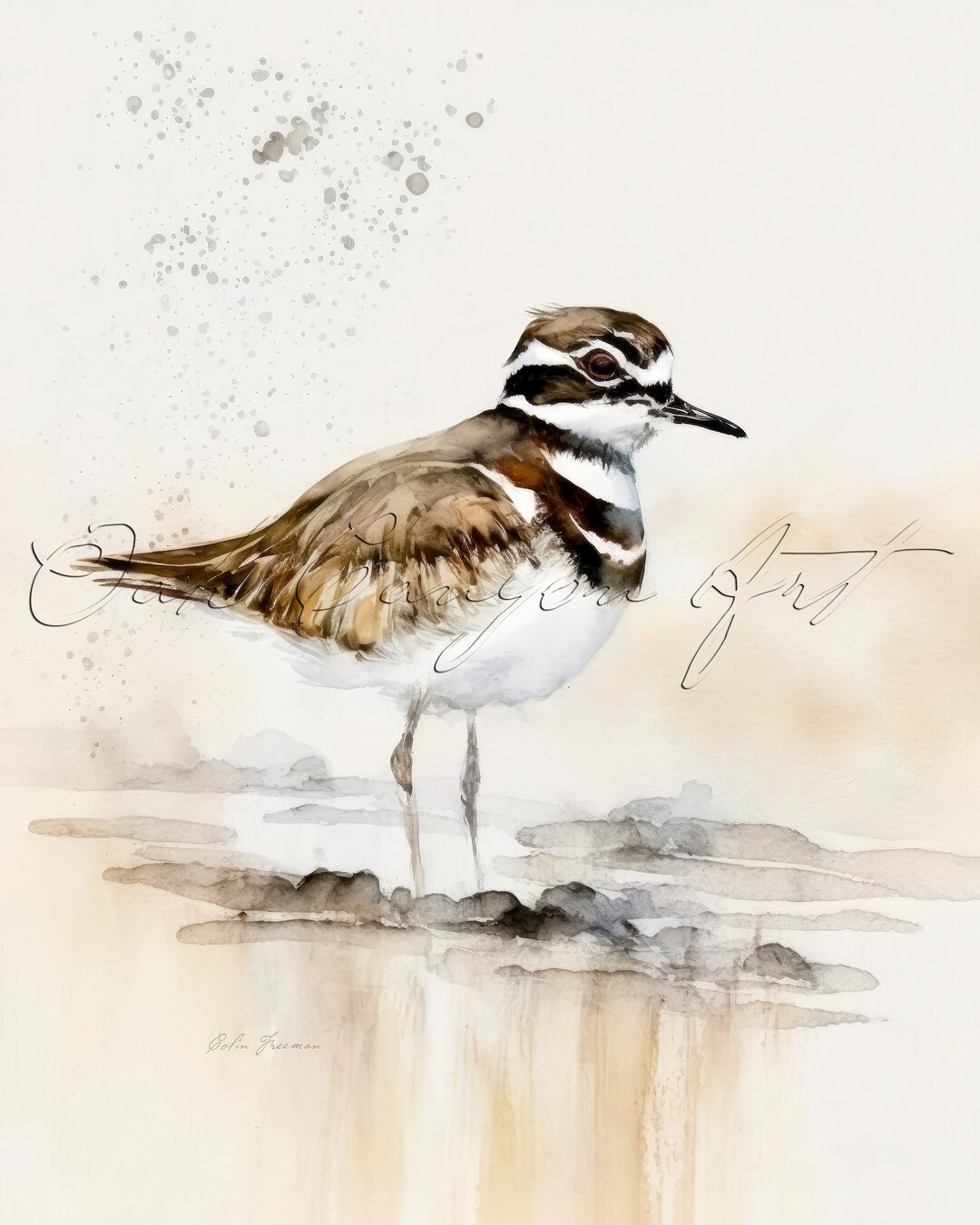 Killdeer Bird Printable Wall Art for Living Room Bird Watercolor ...