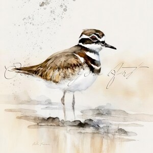 Killdeer Bird Printable Wall Art for Living Room Bird Watercolor ...