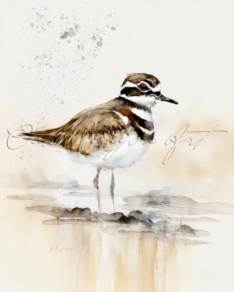 Killdeer Bird Printable Wall Art for Living Room Bird Watercolor ...