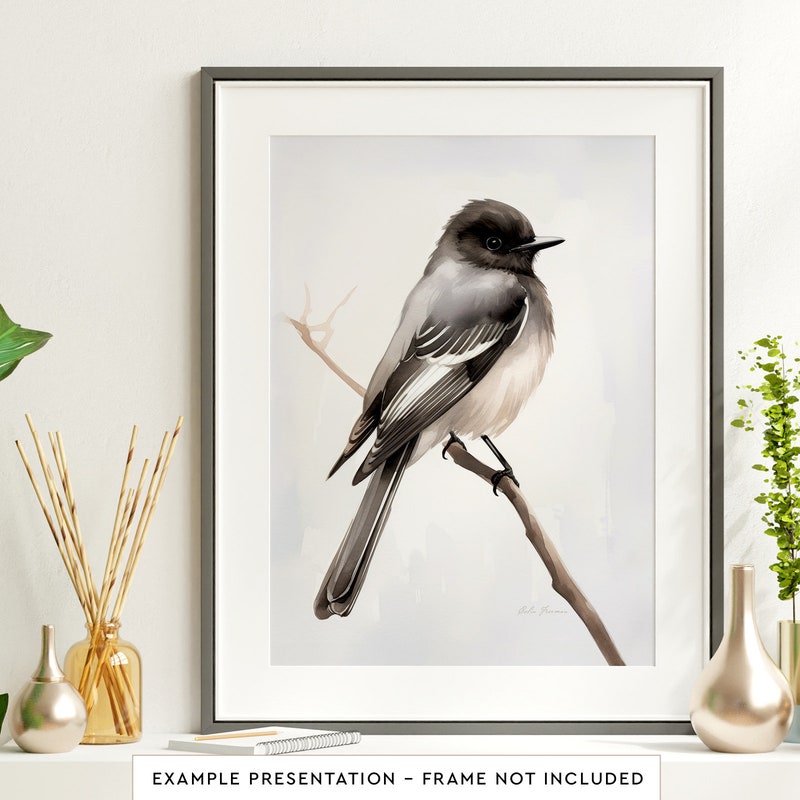 Phoebe - Etsy