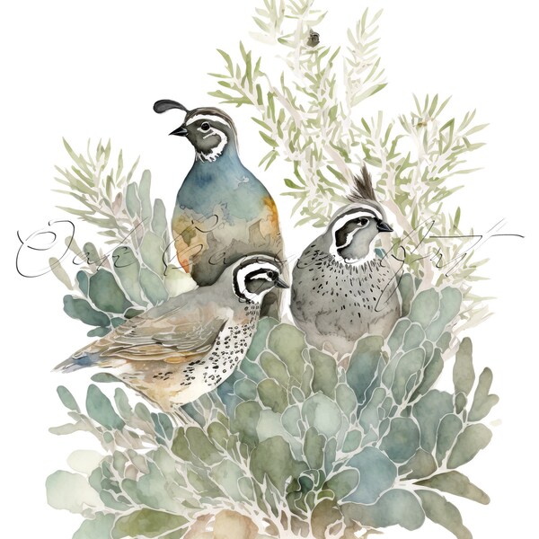 Quail Painting - Etsy