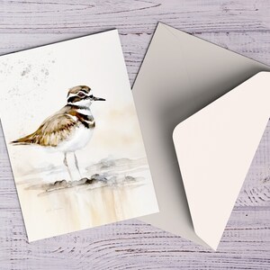 Killdeer Bird Printable Wall Art for Living Room Bird Watercolor ...
