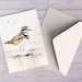 Killdeer Bird Printable Wall Art for Living Room Bird Watercolor ...