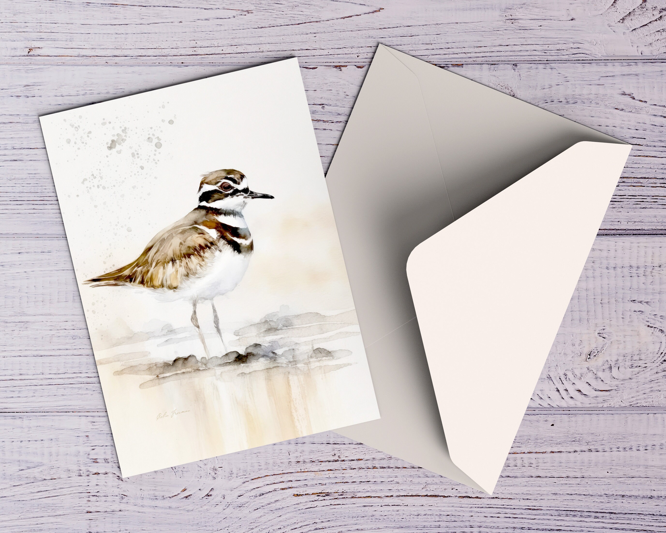 Killdeer Bird Printable Wall Art for Living Room Bird Watercolor ...
