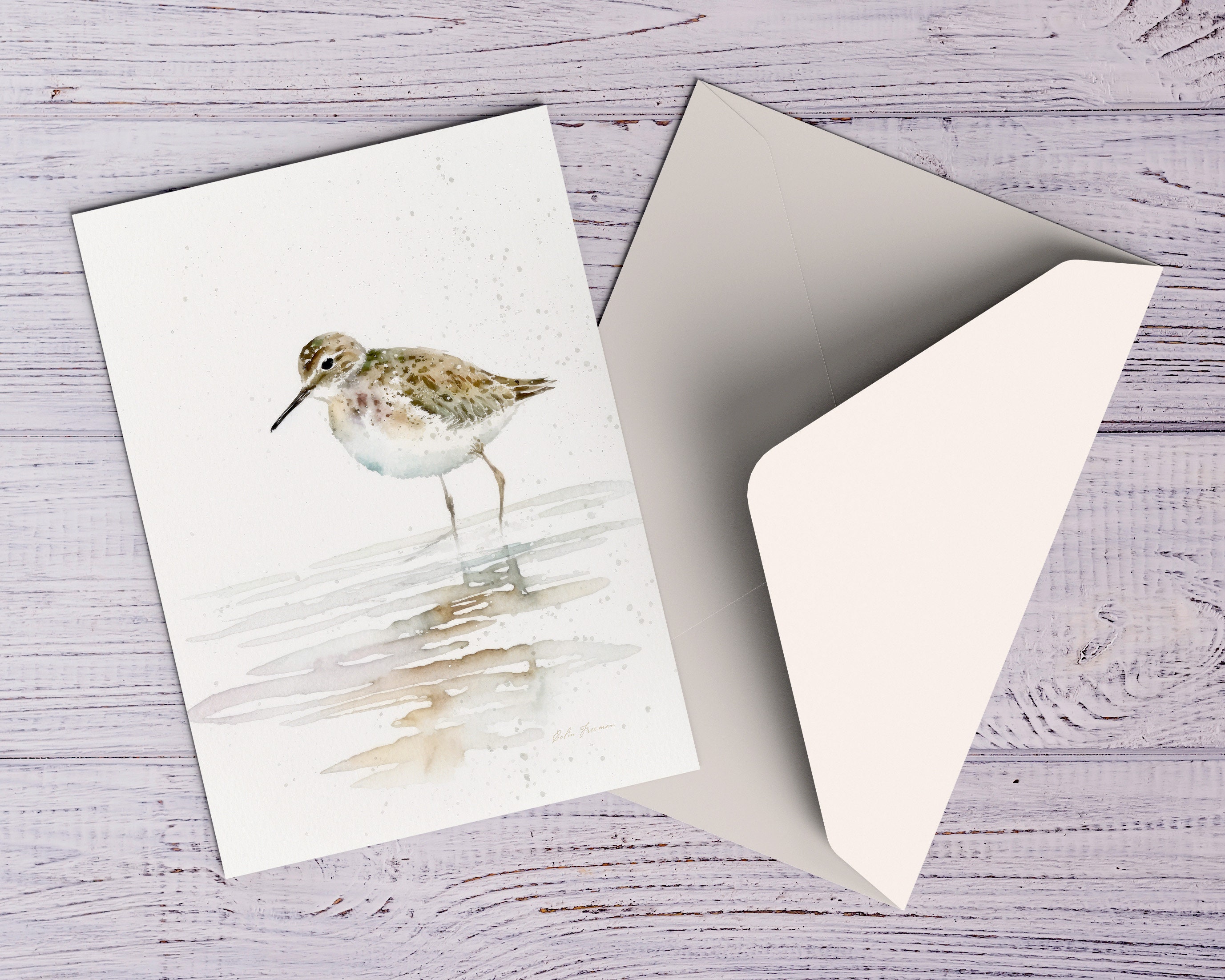 Sandpiper Bird Printable Wall Art for Living Room Bird Watercolor ...