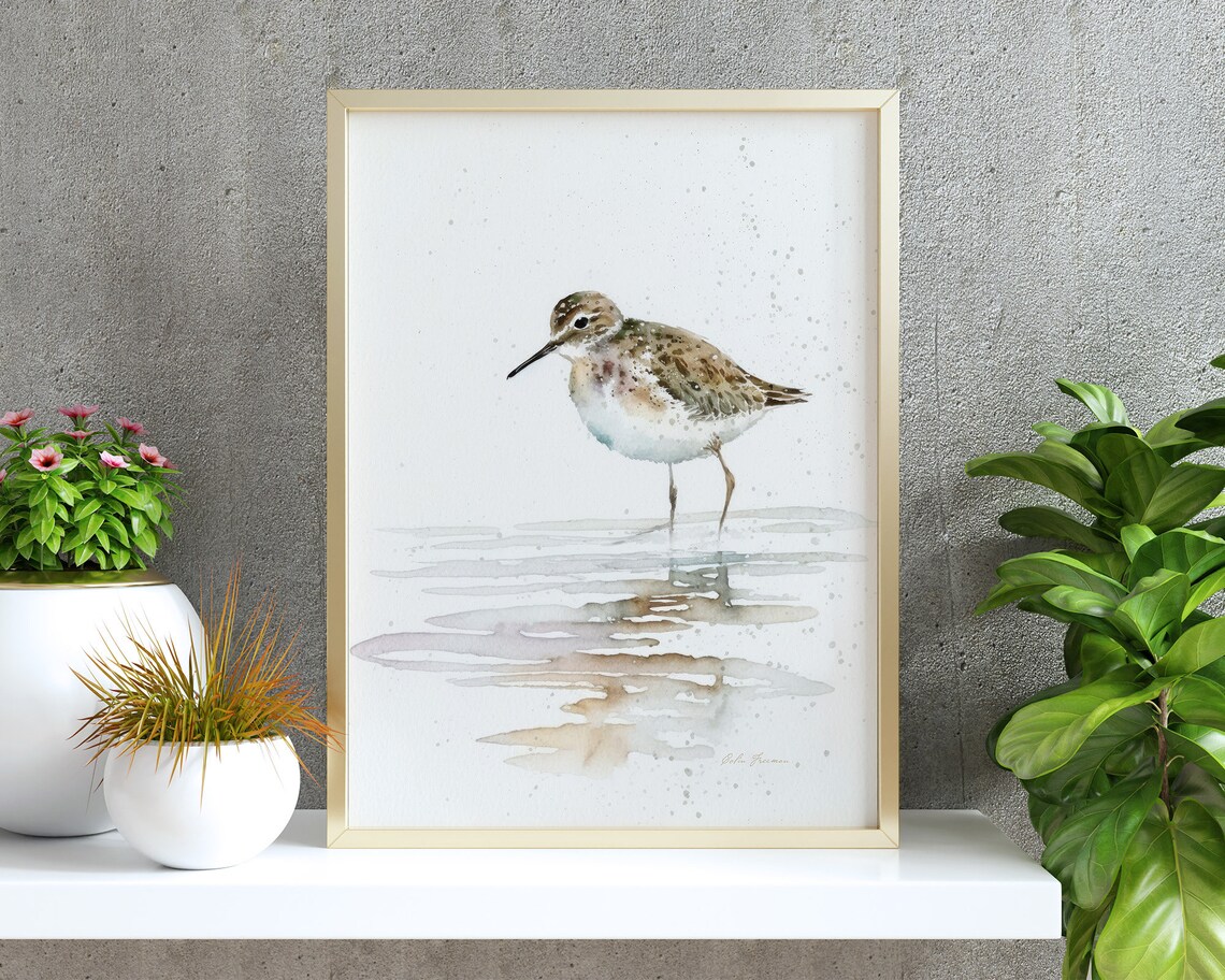 Sandpiper Bird Printable Wall Art for Living Room Bird Watercolor ...