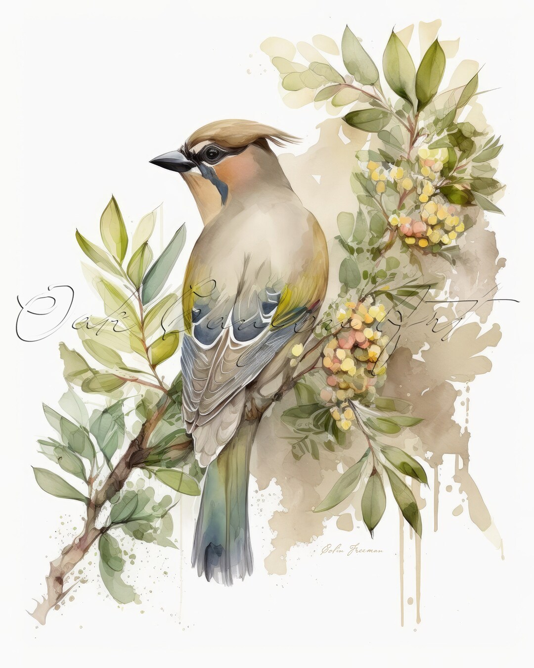 Cedar Waxwing Bird Printable Wall Art for Living Room Bird Watercolor ...