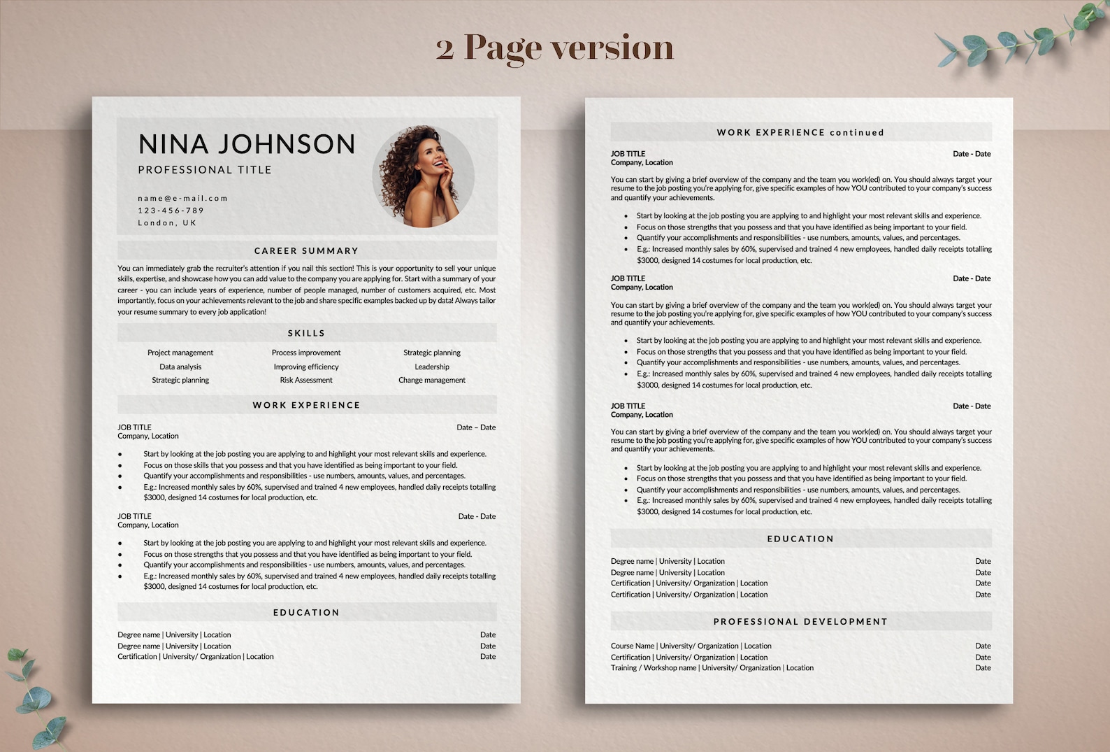 Resume Template Google Docs, Word, Pages, Professional Resume Template ...