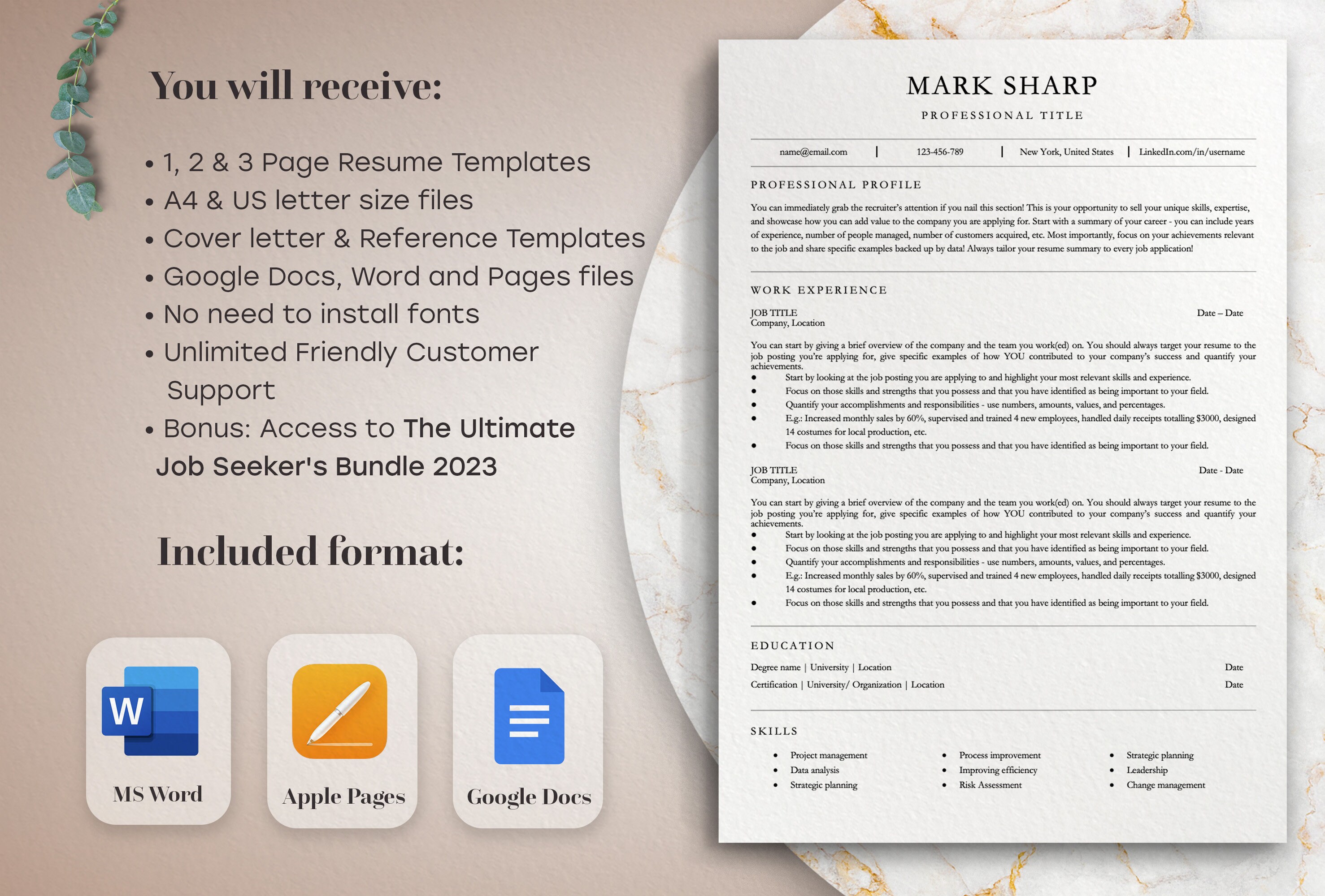 Resume Template for Google Docs, Ms Word, Apple Pages Professional ...