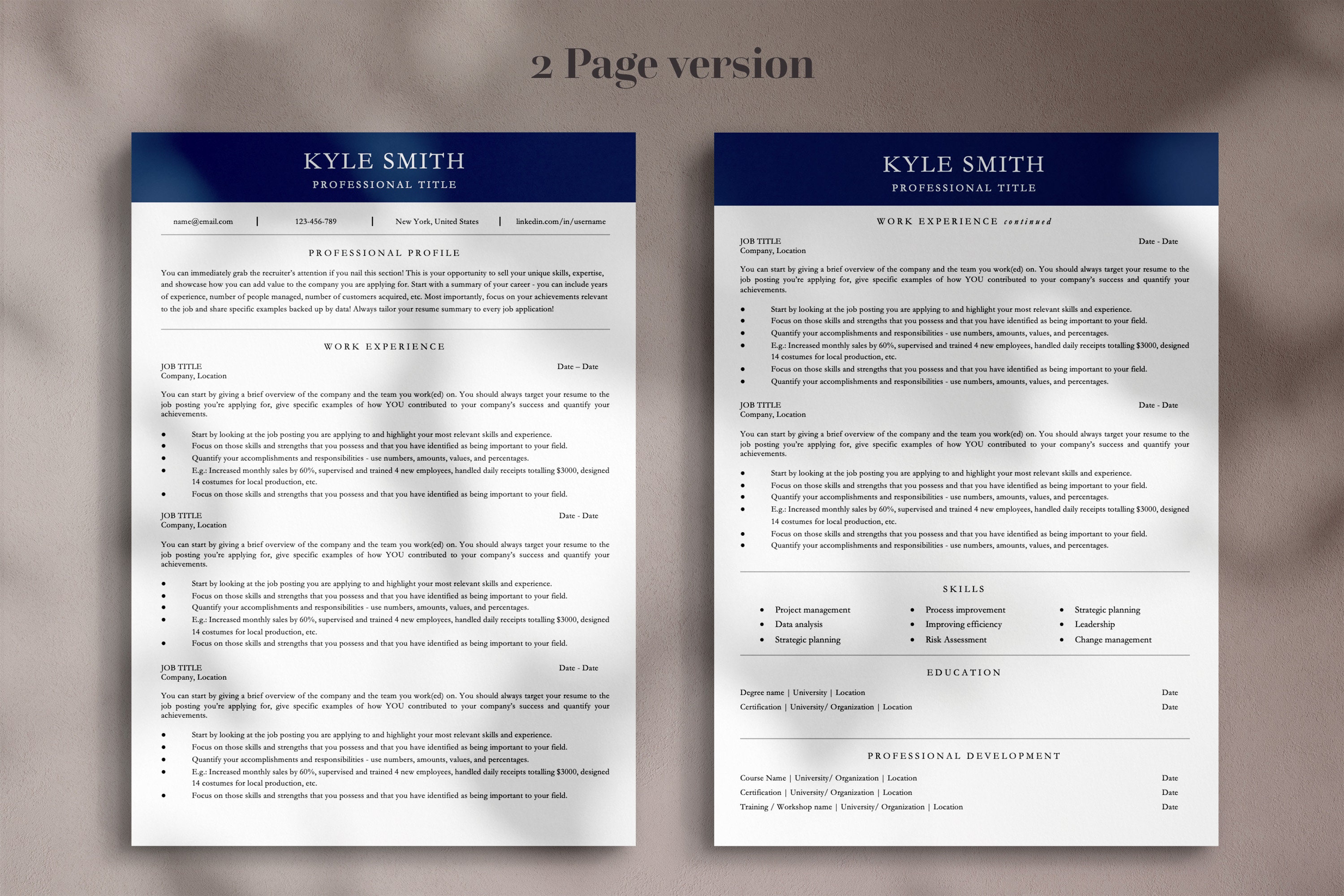 Executive Resume Template Google Docs, Word, Pages , Professional ...