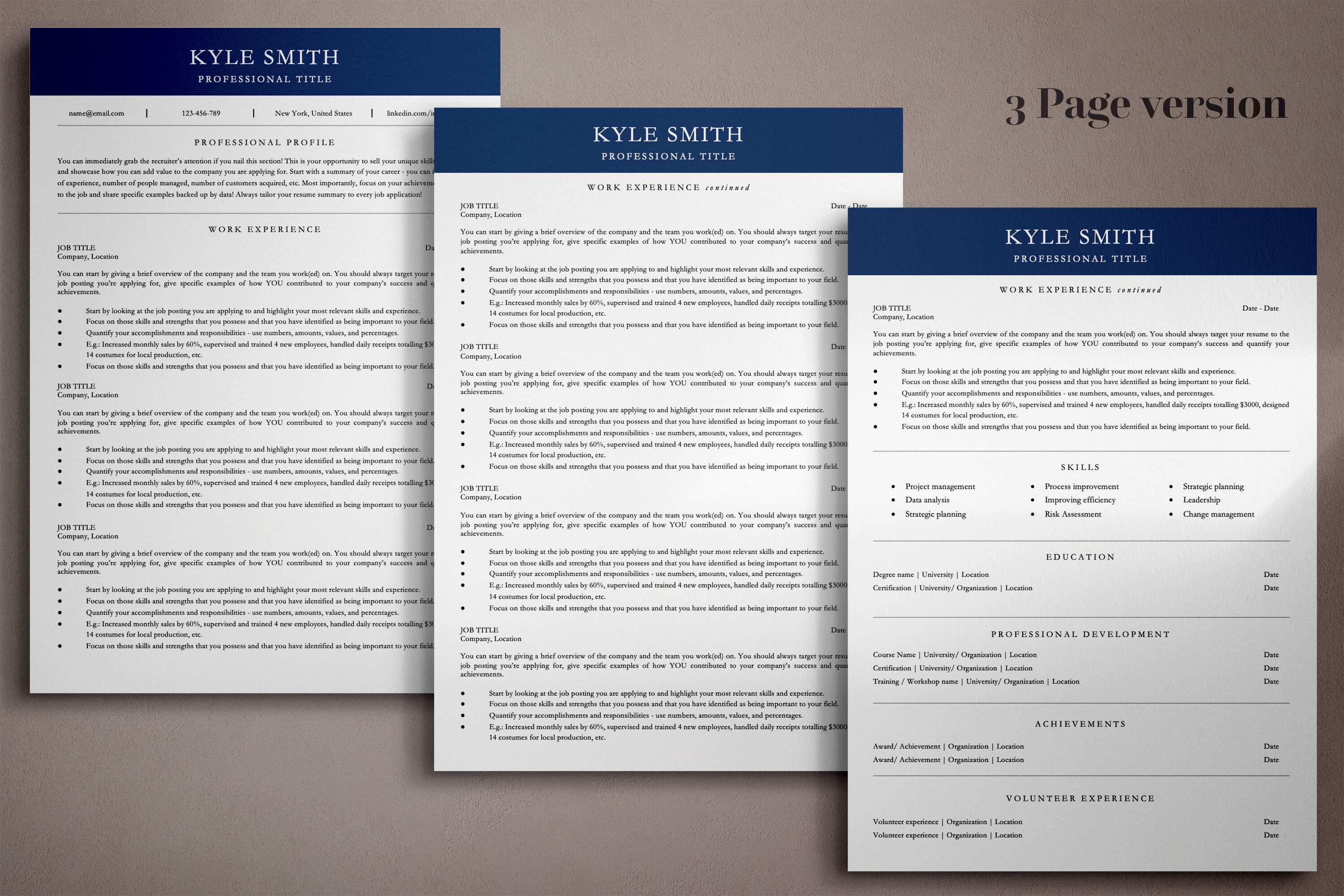 Executive Resume Template Google Docs, Word, Pages , Professional ...