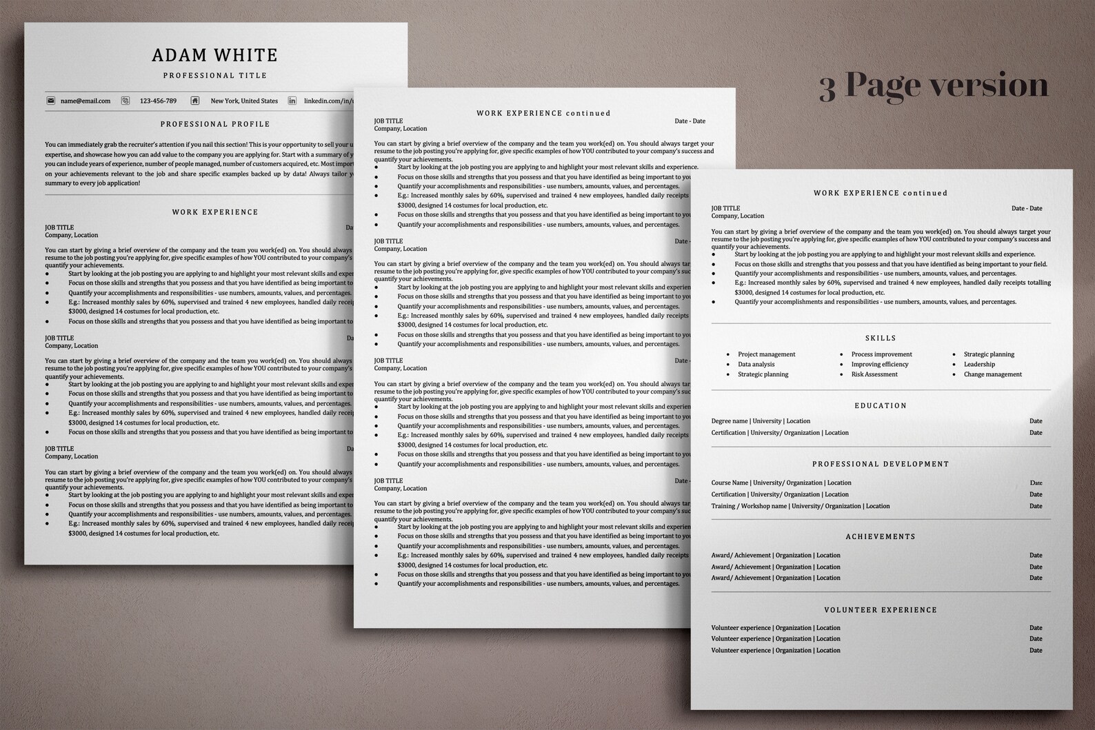 Professional Resume Template for Google Docs, Word, Pages, Executive ...