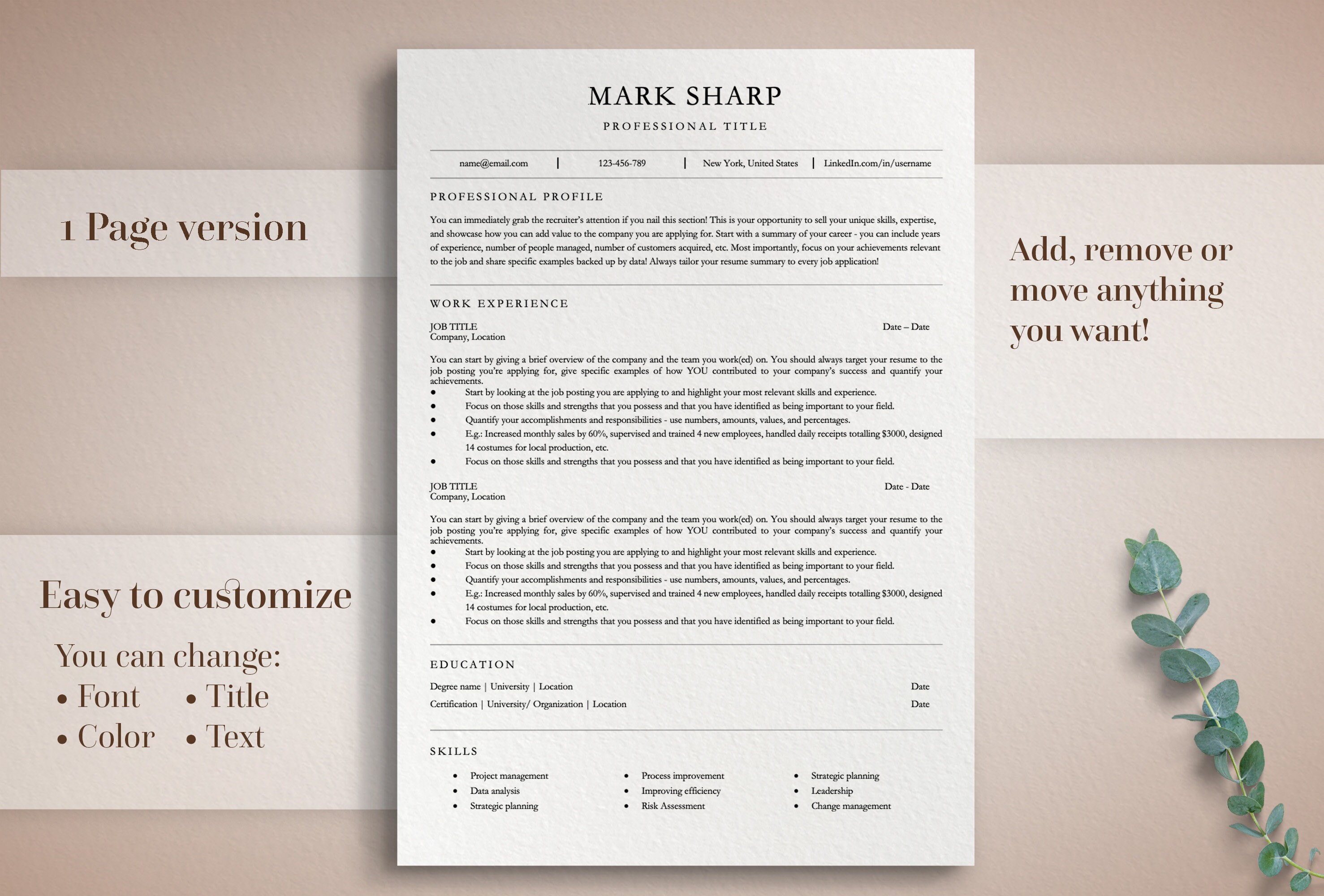 Resume Template for Google Docs, Ms Word, Apple Pages Professional ...