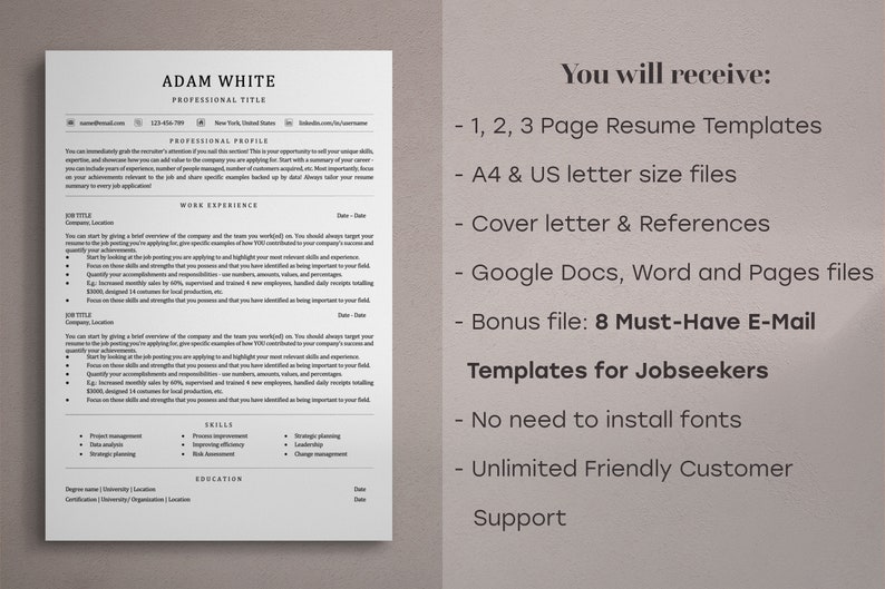 Professional Resume Template for Google Docs Word Pages - Etsy