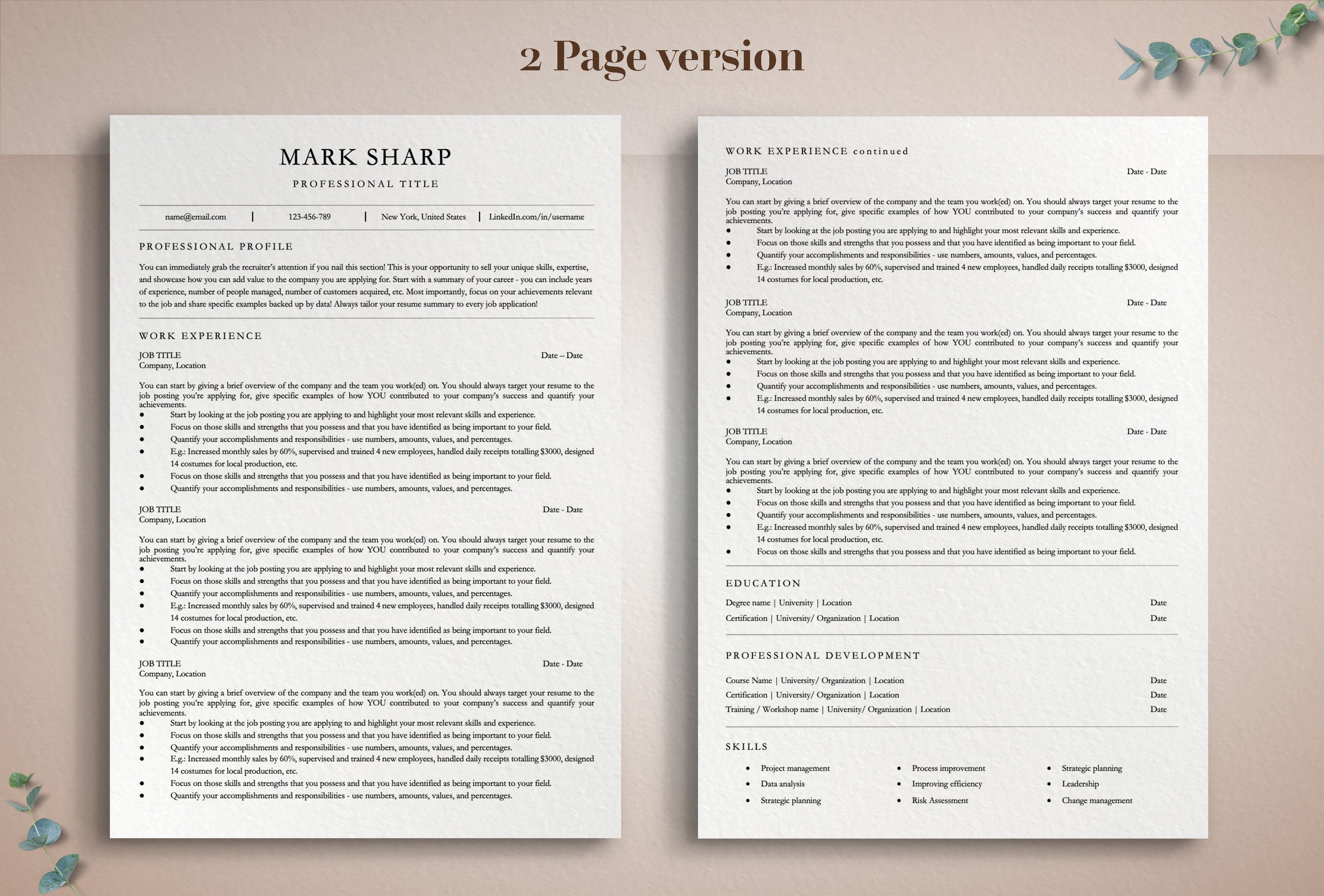 Resume Template for Google Docs, Ms Word, Apple Pages Professional ...