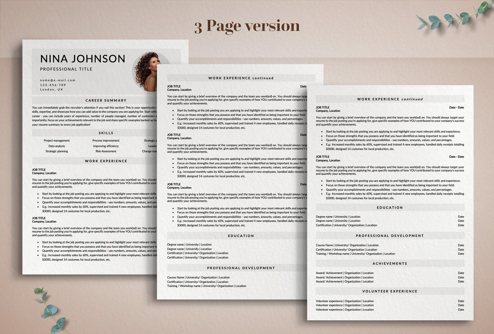 Resume Template Google Docs Word Pages Professional Resume - Etsy