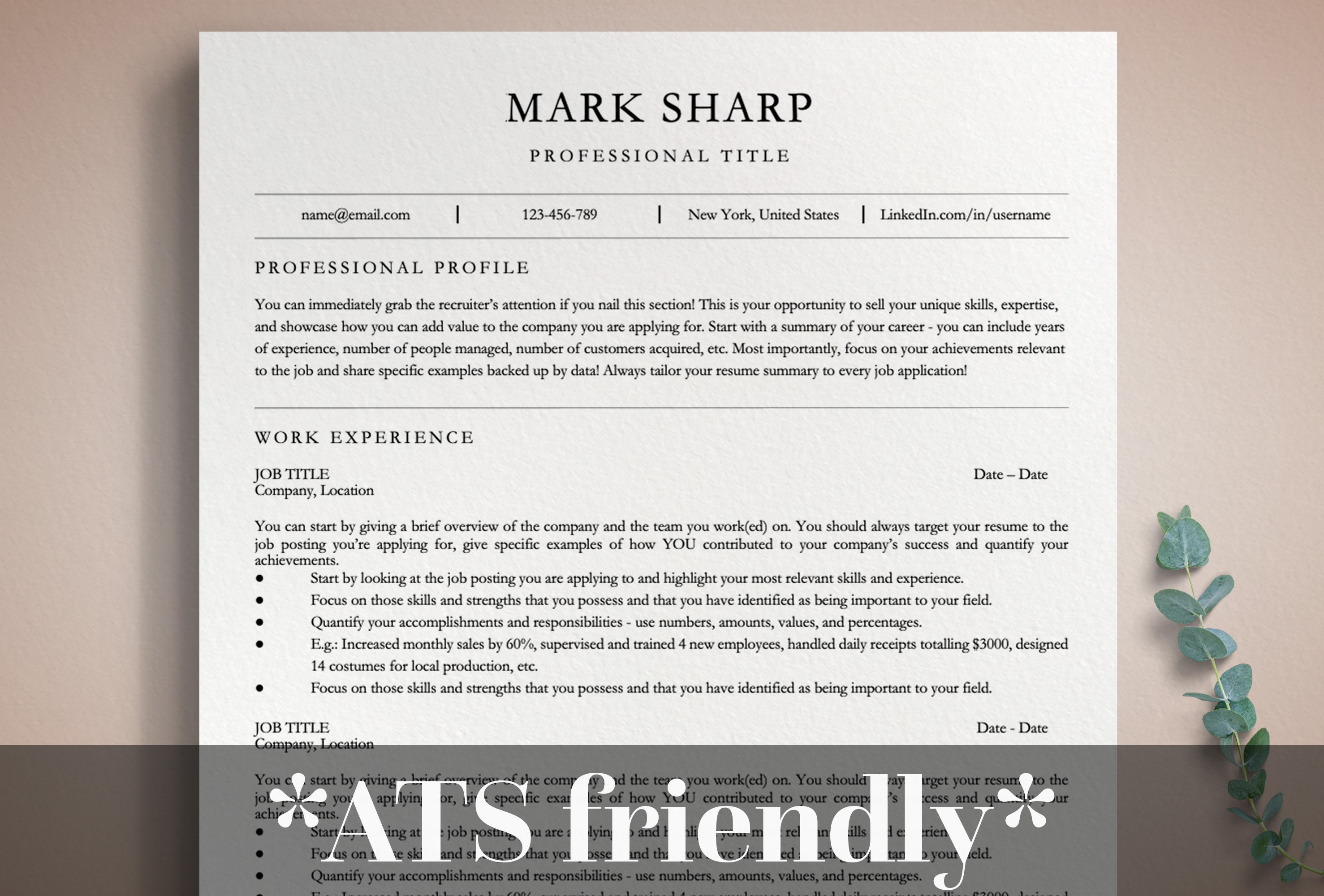 Resume Template for Google Docs, Ms Word, Apple Pages Professional ...