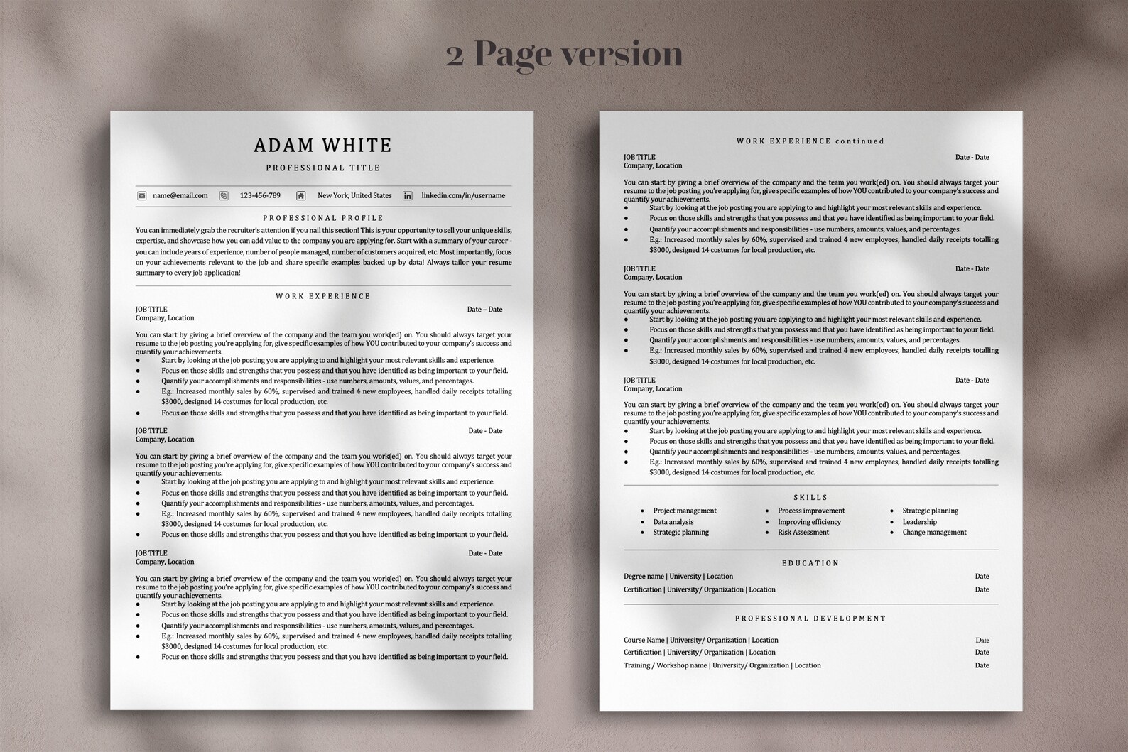 Professional Resume Template for Google Docs, Word, Pages, Executive ...