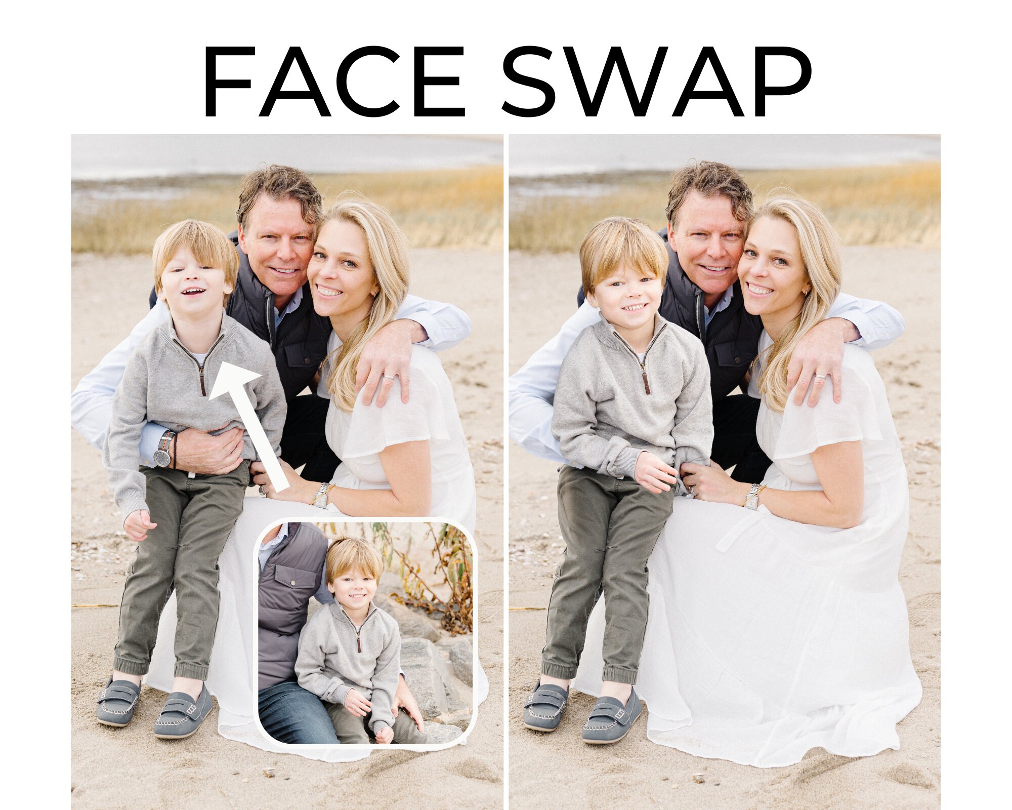 Pet Face Swap, QUICK TURNAROUND, Photo Editing, Photoshop, Image ...