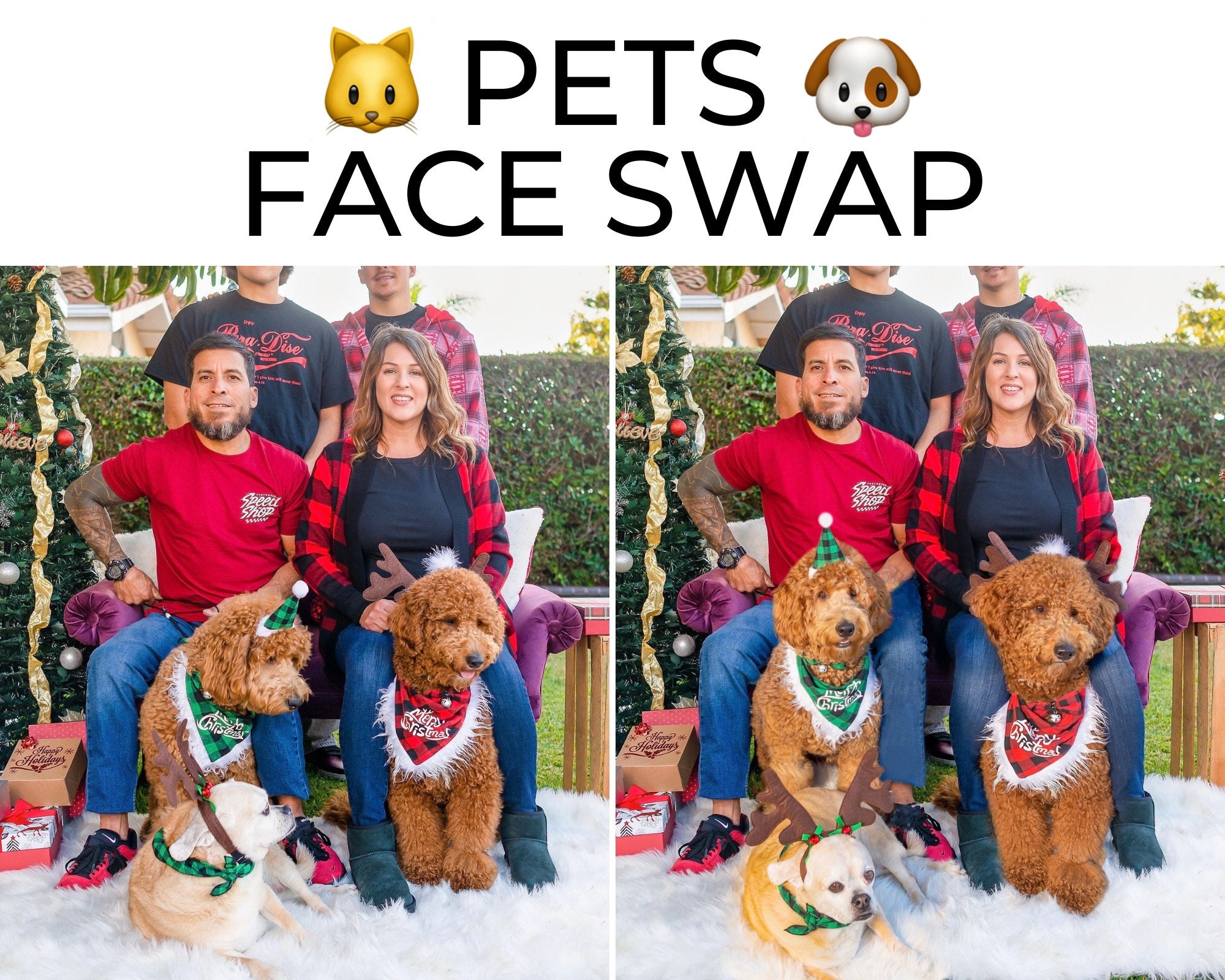 Face Swap Dog