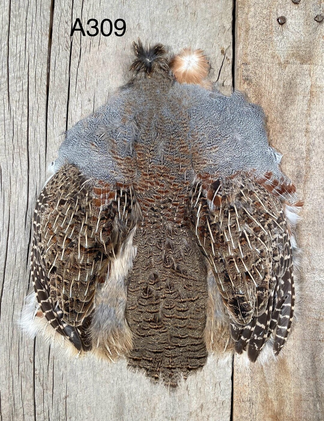 Hungarian (gray) Partridge Skin – Feathers for FLY TYING: A309 - Etsy