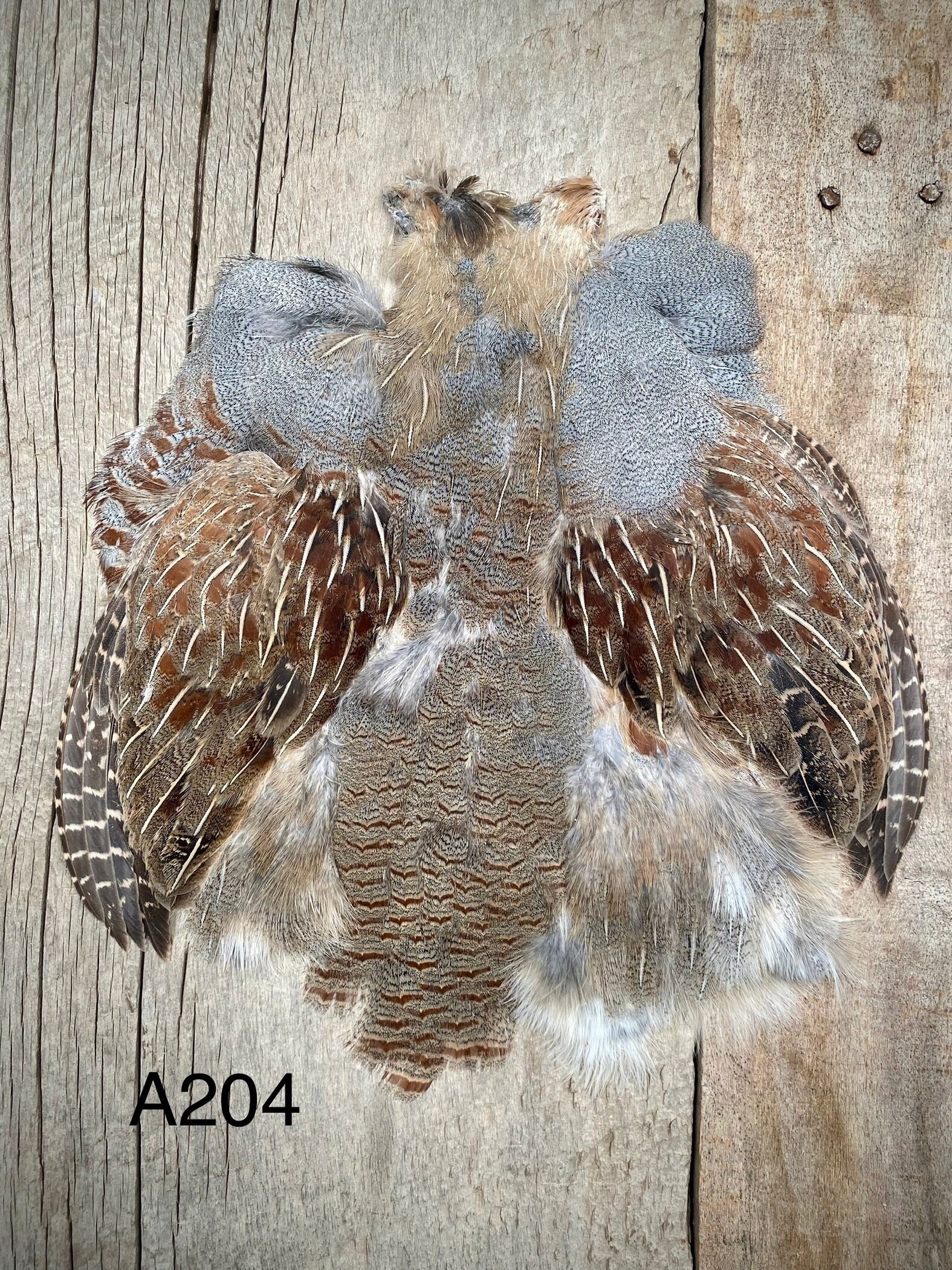 Hungarian gray Partridge Skin Feathers for FLY TYING: A204 - Etsy
