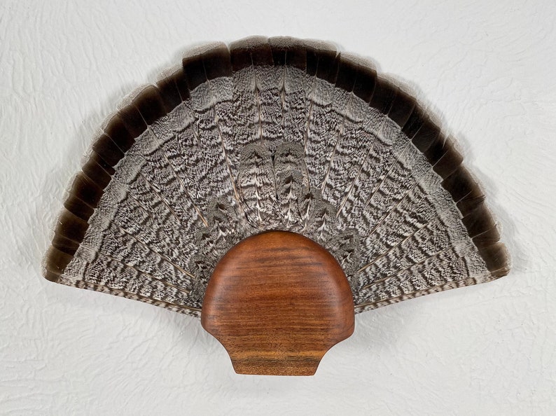 Upland BIRD TAIL FAN Mounter – Walnut, Size Small (ruffed Grouse) - Etsy