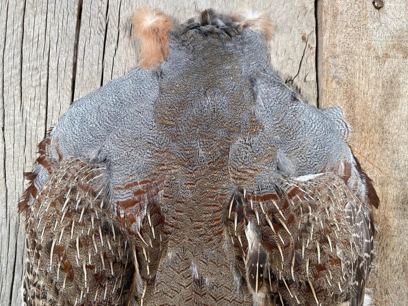Hungarian (gray) Partridge Skin – Feathers for FLY TYING: A302 - Etsy