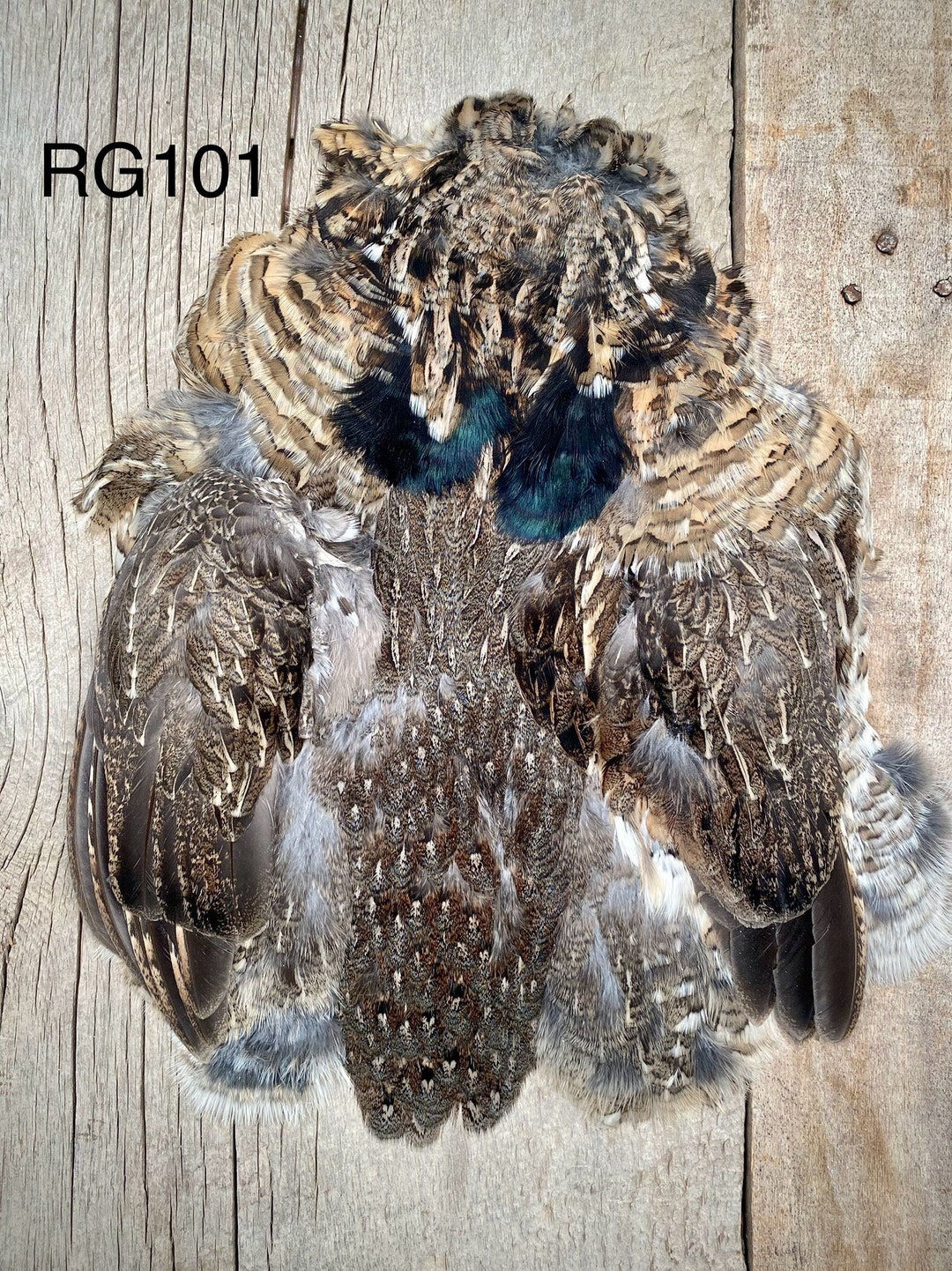 Ruffed Grouse Skin – Feathers for FLY TYING: RG101 - Etsy