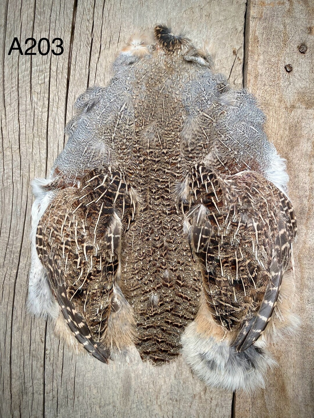 Hungarian gray Partridge Skin Feathers for FLY TYING: A203 - Etsy