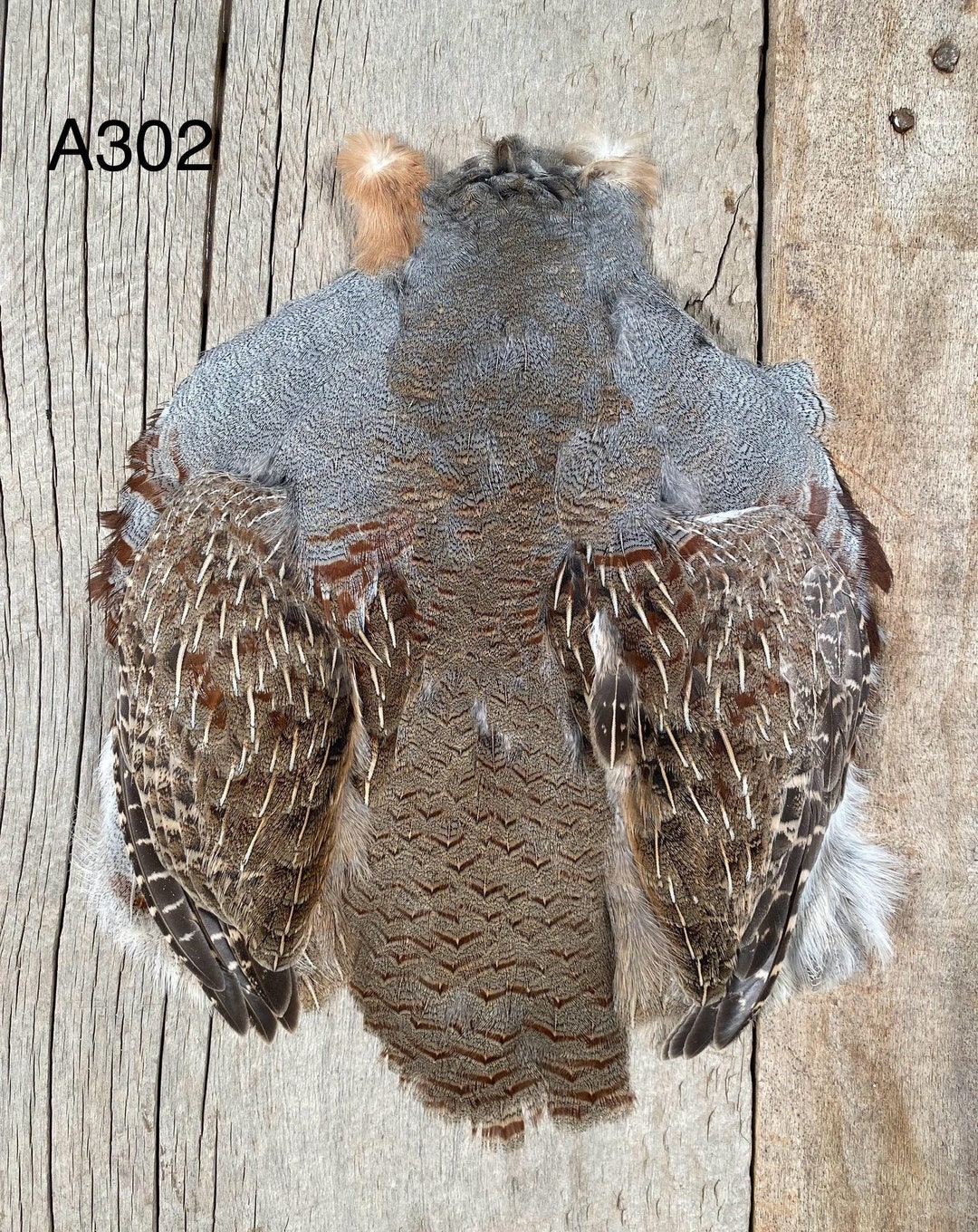 Hungarian (gray) Partridge Skin – Feathers for FLY TYING: A302 - Etsy