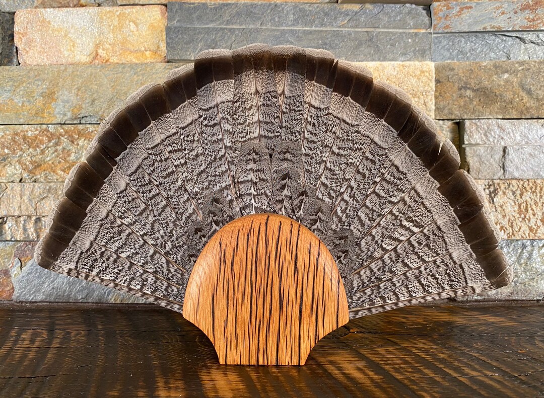 Upland BIRD TAIL FAN Mounter – Antique Oak, Size Small (ruffed Grouse ...