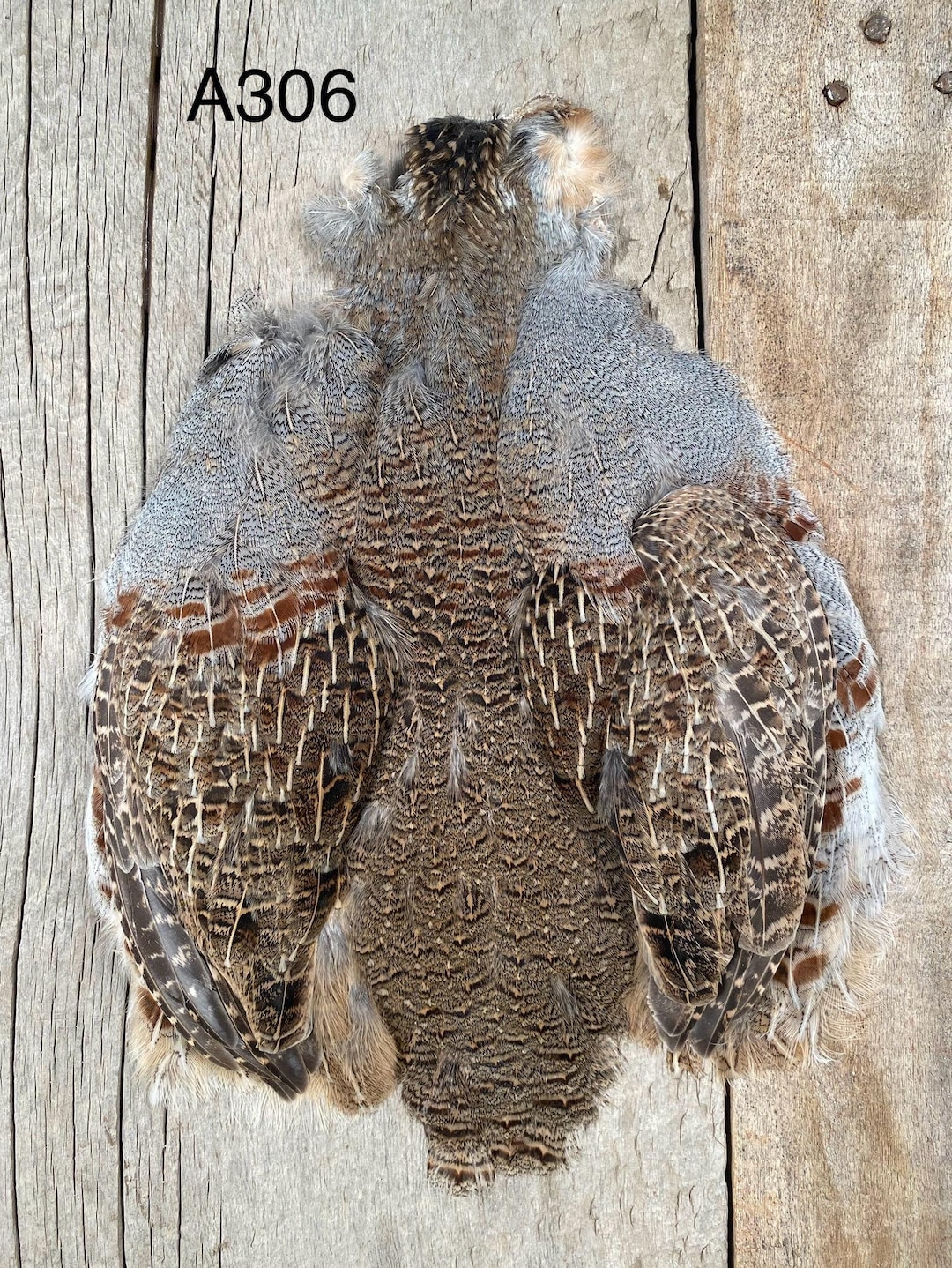 Hungarian (gray) Partridge Skin – Feathers for FLY TYING: A306 - Etsy