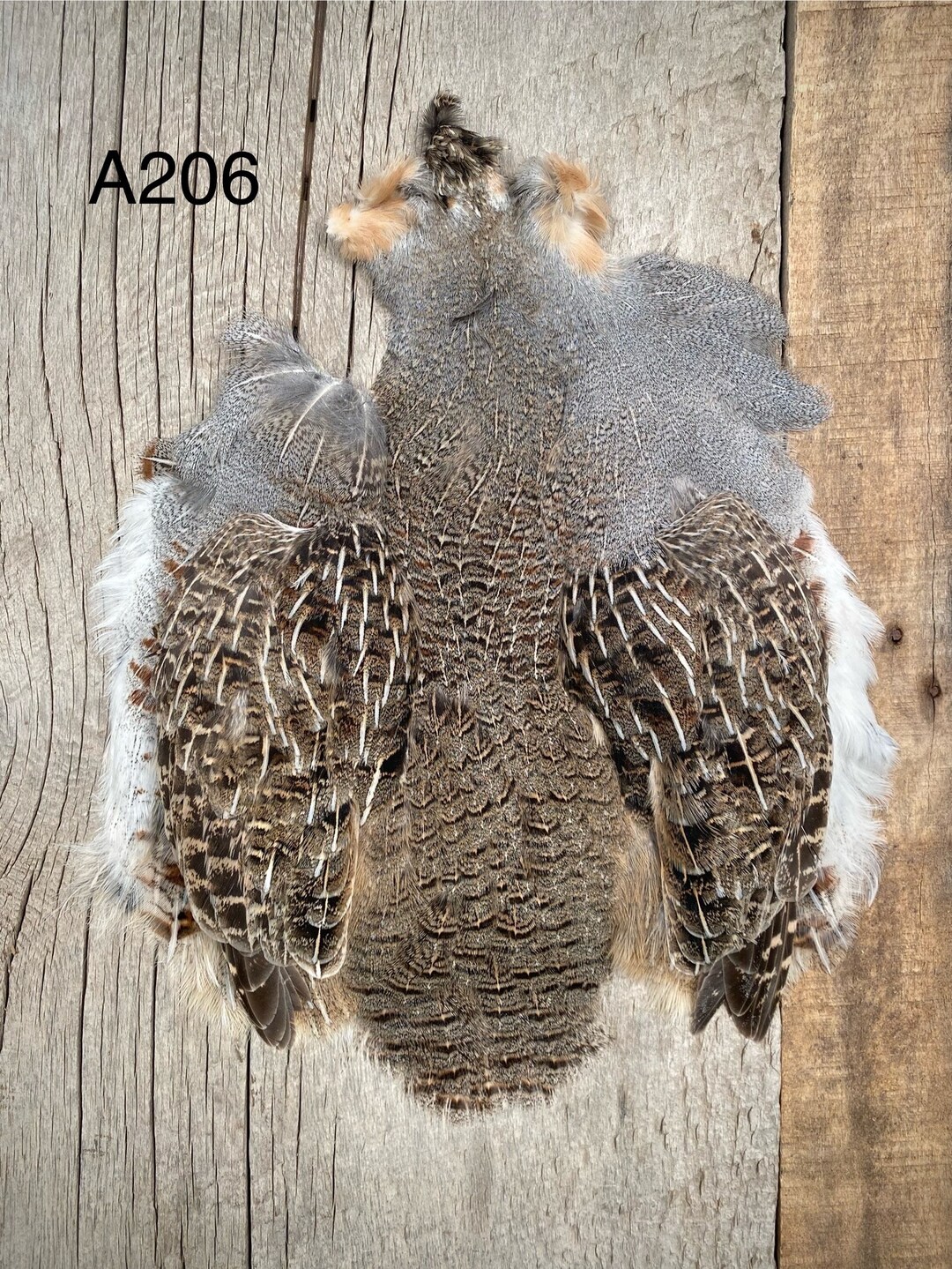 Hungarian (gray) Partridge Skin – Feathers for FLY TYING: A206 - Etsy