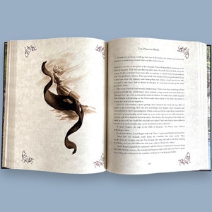The Princess Bride: Illustrated Hardcover Deluxe Edition - Classic Book ...
