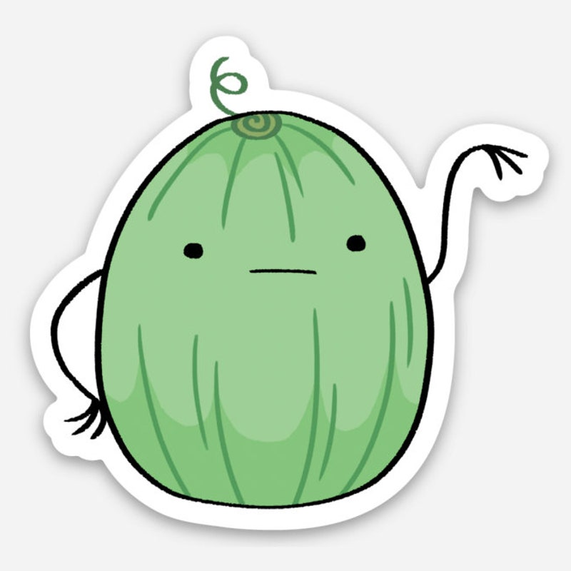 Melon Cases - Etsy