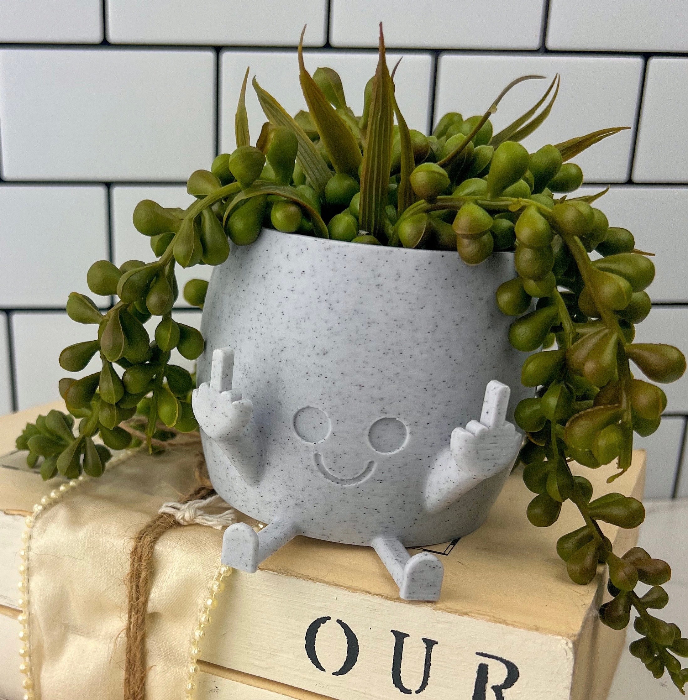Middle Finger Happy Planter in ALL Colors Kawaii Planter - Etsy Canada